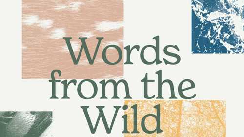 Words from the Wild: the Nature of Poetry